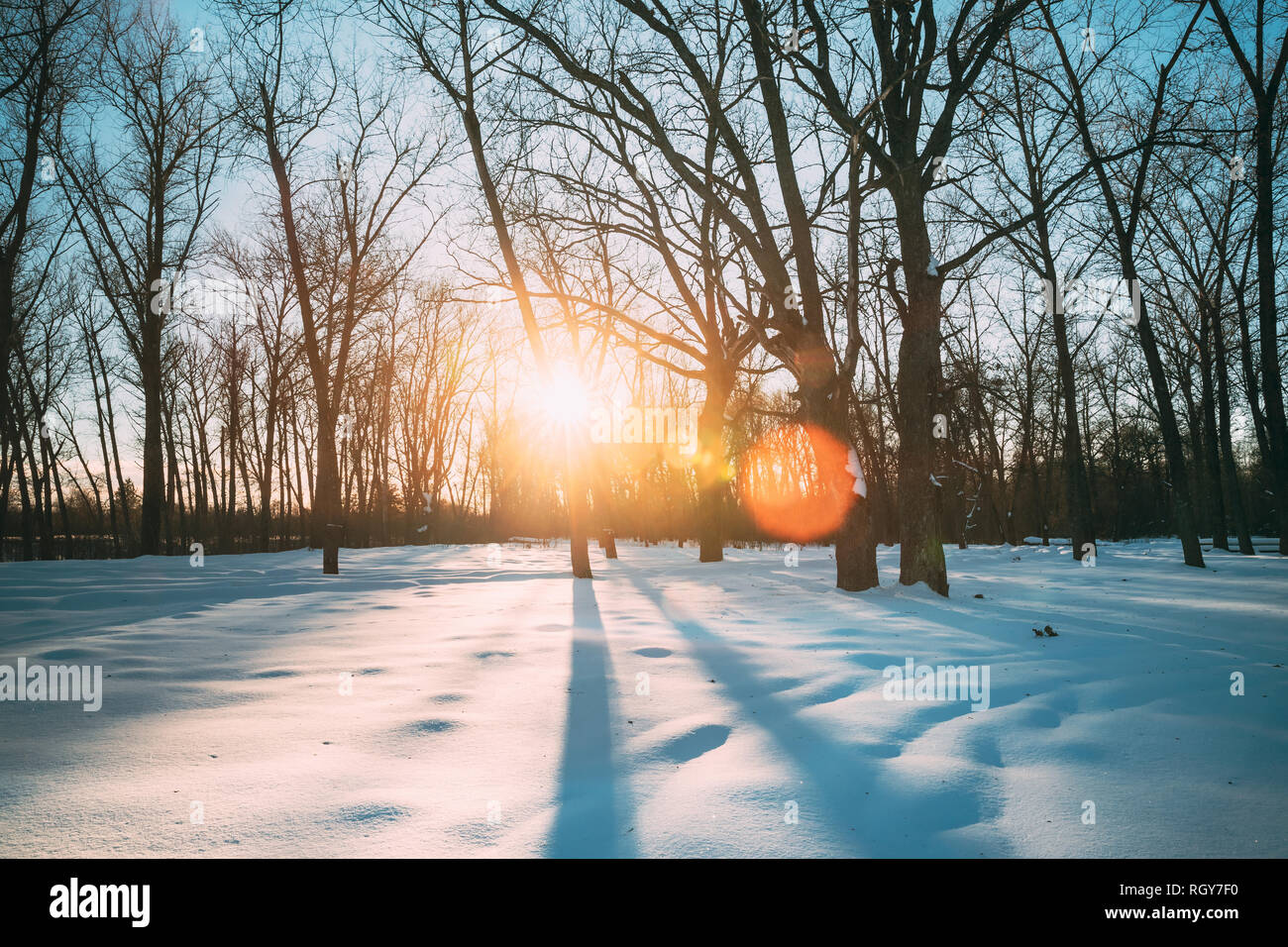 Beautiful Sunset Sunrise Sun Sunshine In Sunny Winter Snowy Forest Park ...