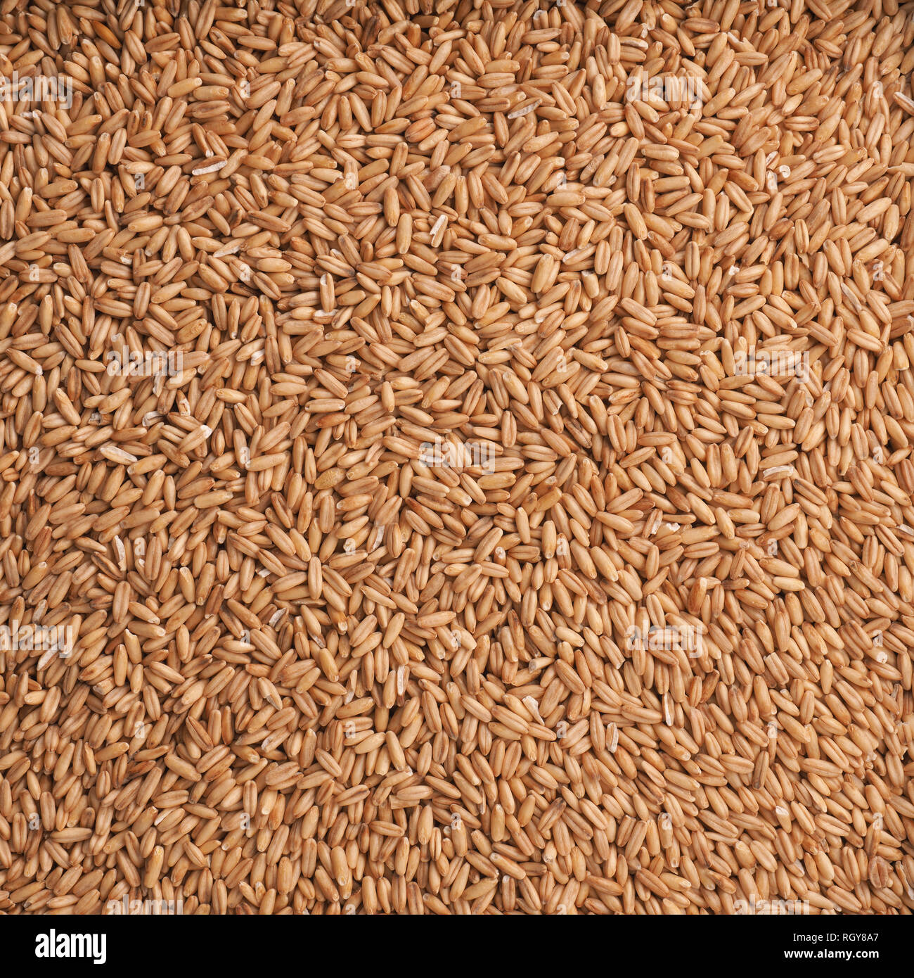Organic peeled oats close up texture, natural food healthy eating ...