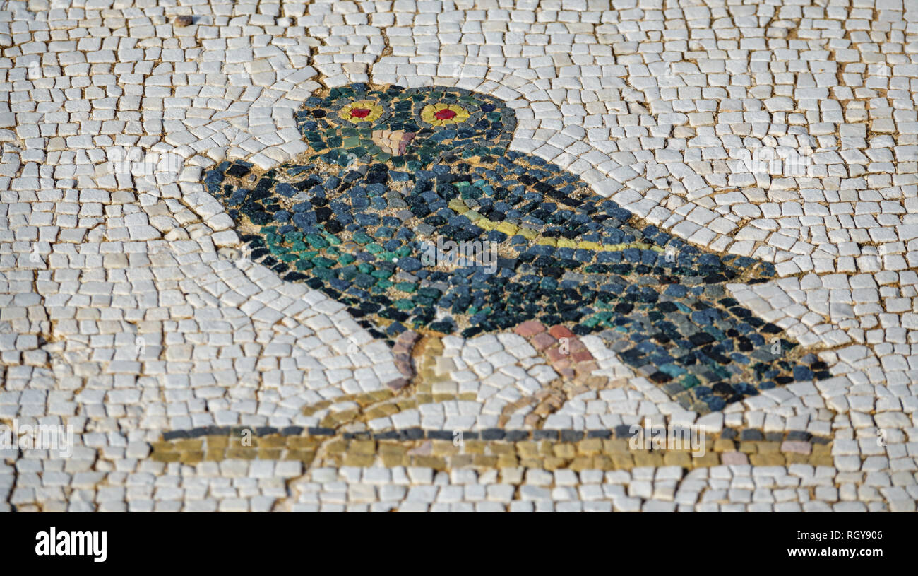 Roman mosaic floor with owl and shallow depth of field Stock Photo - Alamy