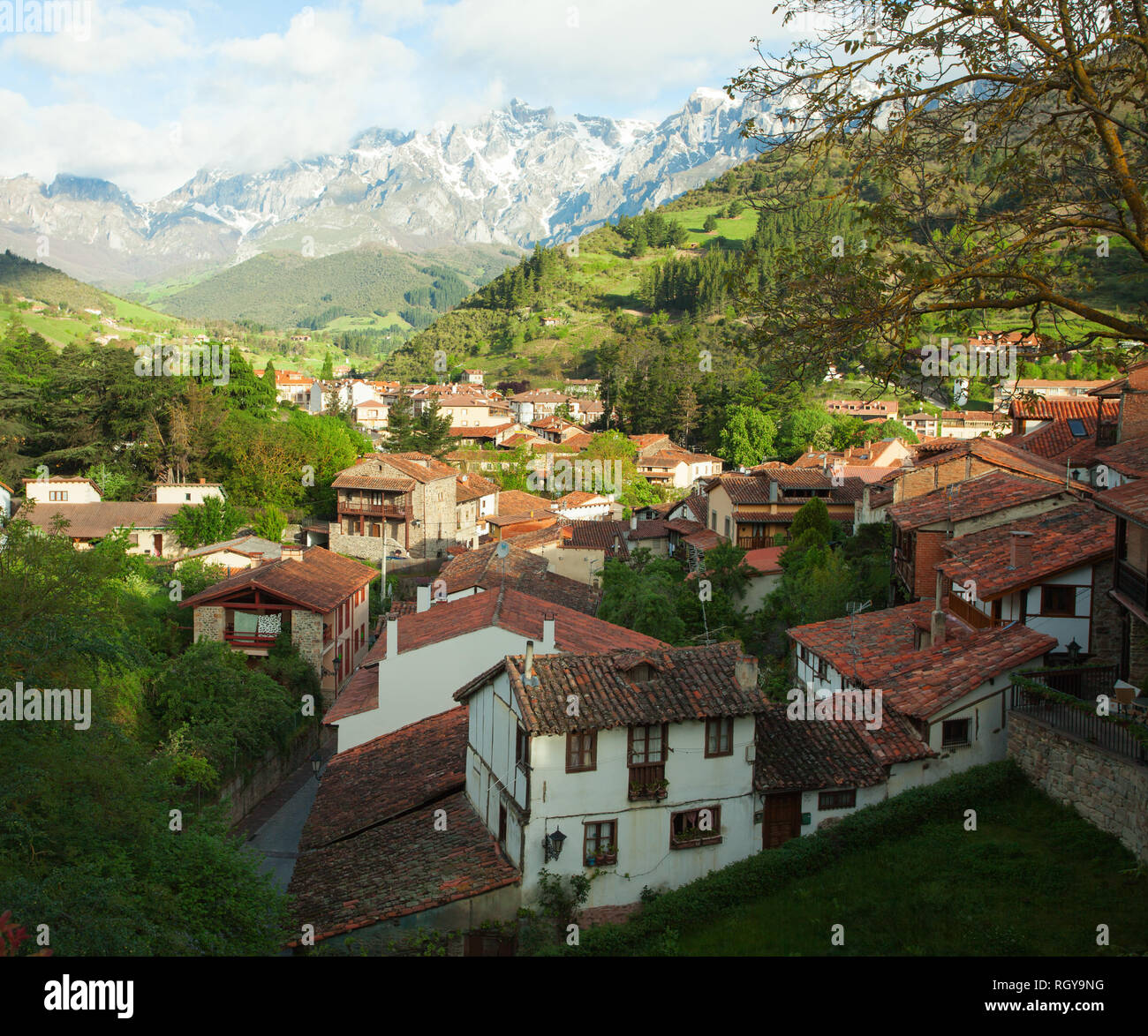 Picos de europa spring flowers hi-res stock photography and images - Alamy