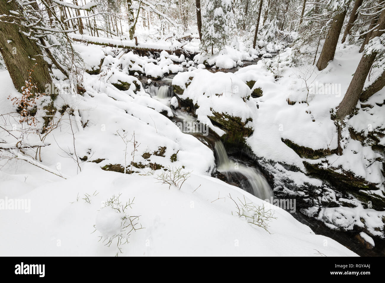 Seebach, Bärental, Schwarzwald, Germany Stock Photo - Alamy