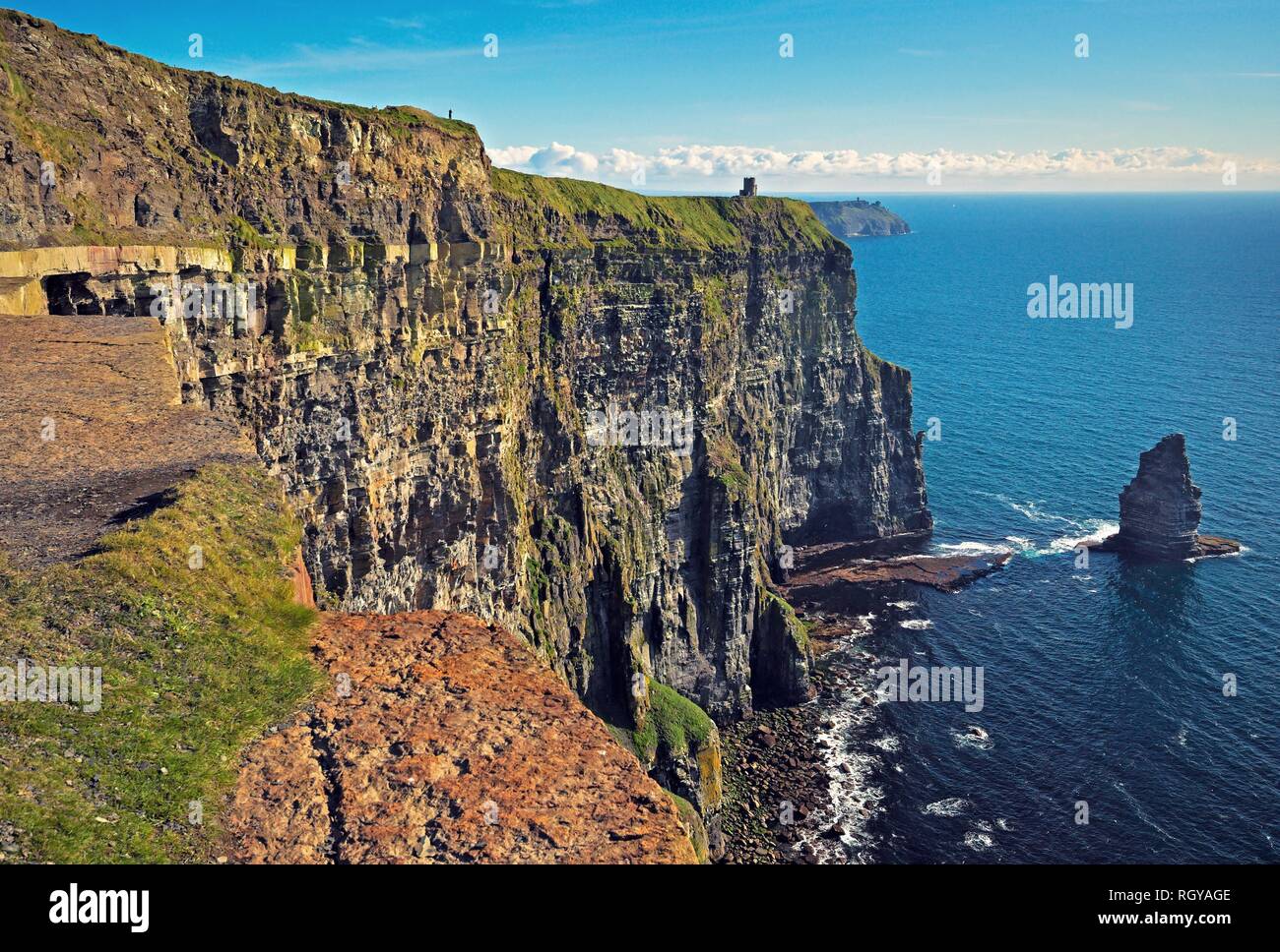 Googletra hi-res stock photography and images - Alamy