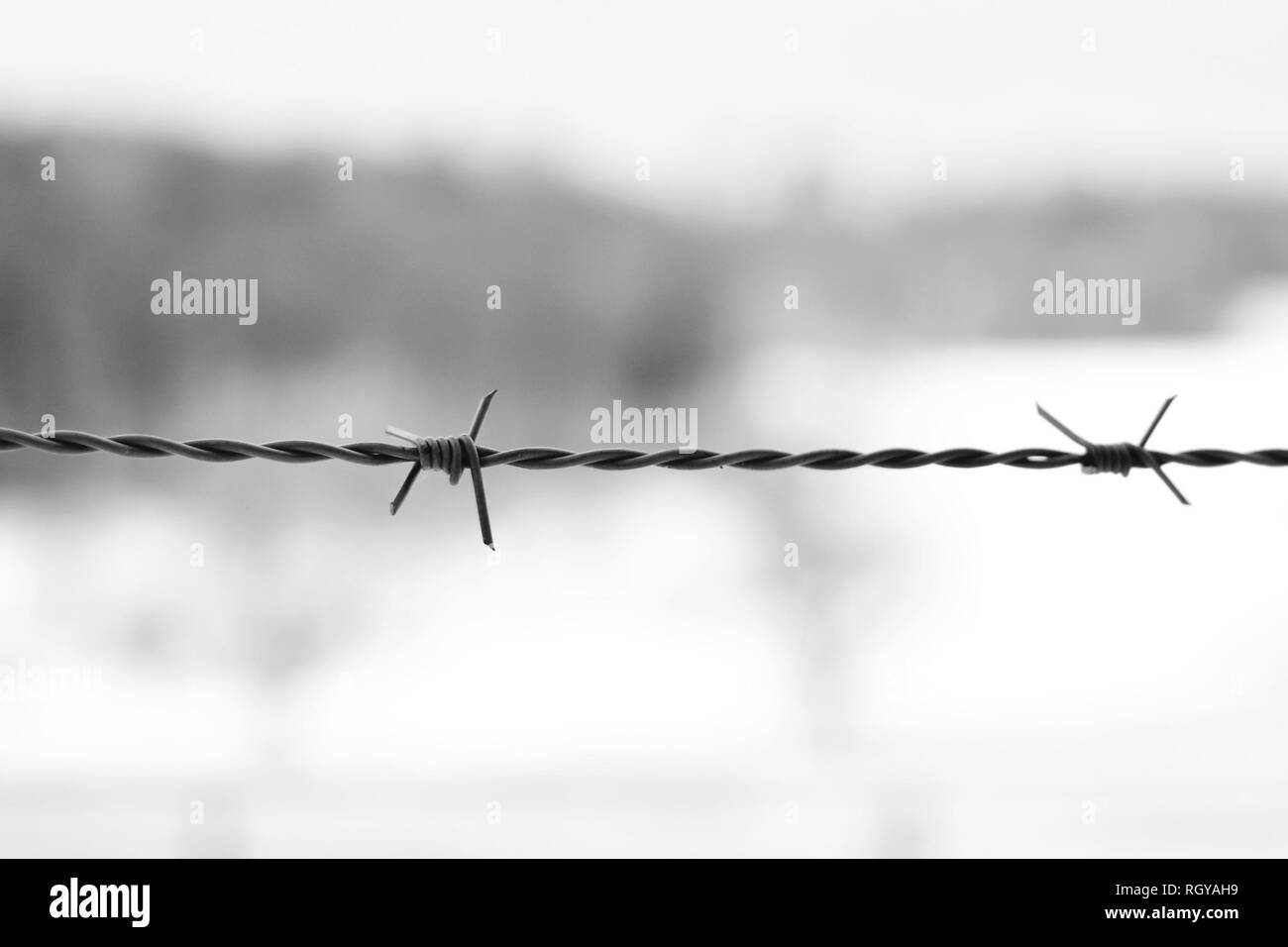 Barbed wire barrier hi-res stock photography and images - Alamy