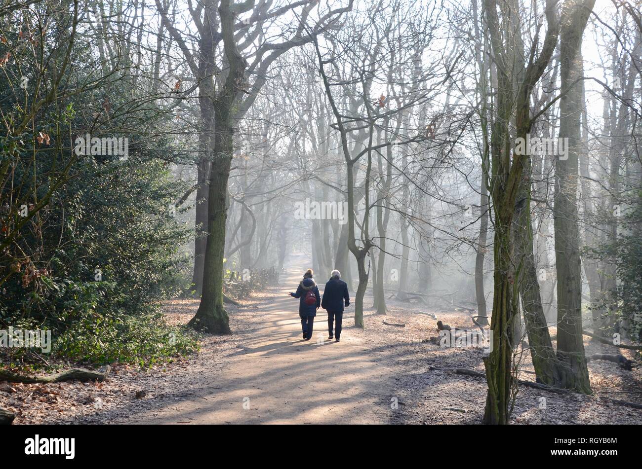 Highgate wood hi-res stock photography and images - Alamy