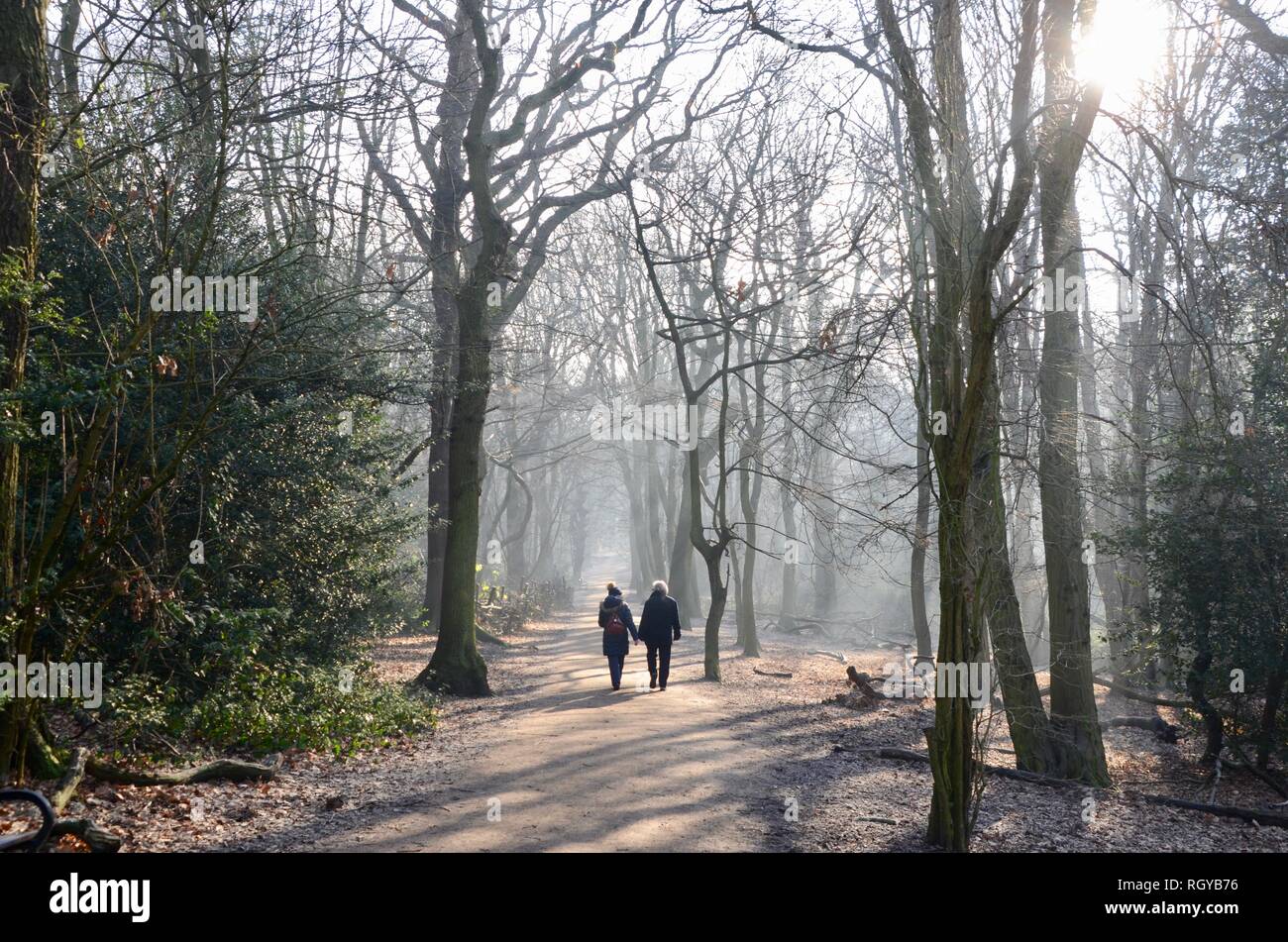 a middle aged couple walk a path in highgate woods north london in ...