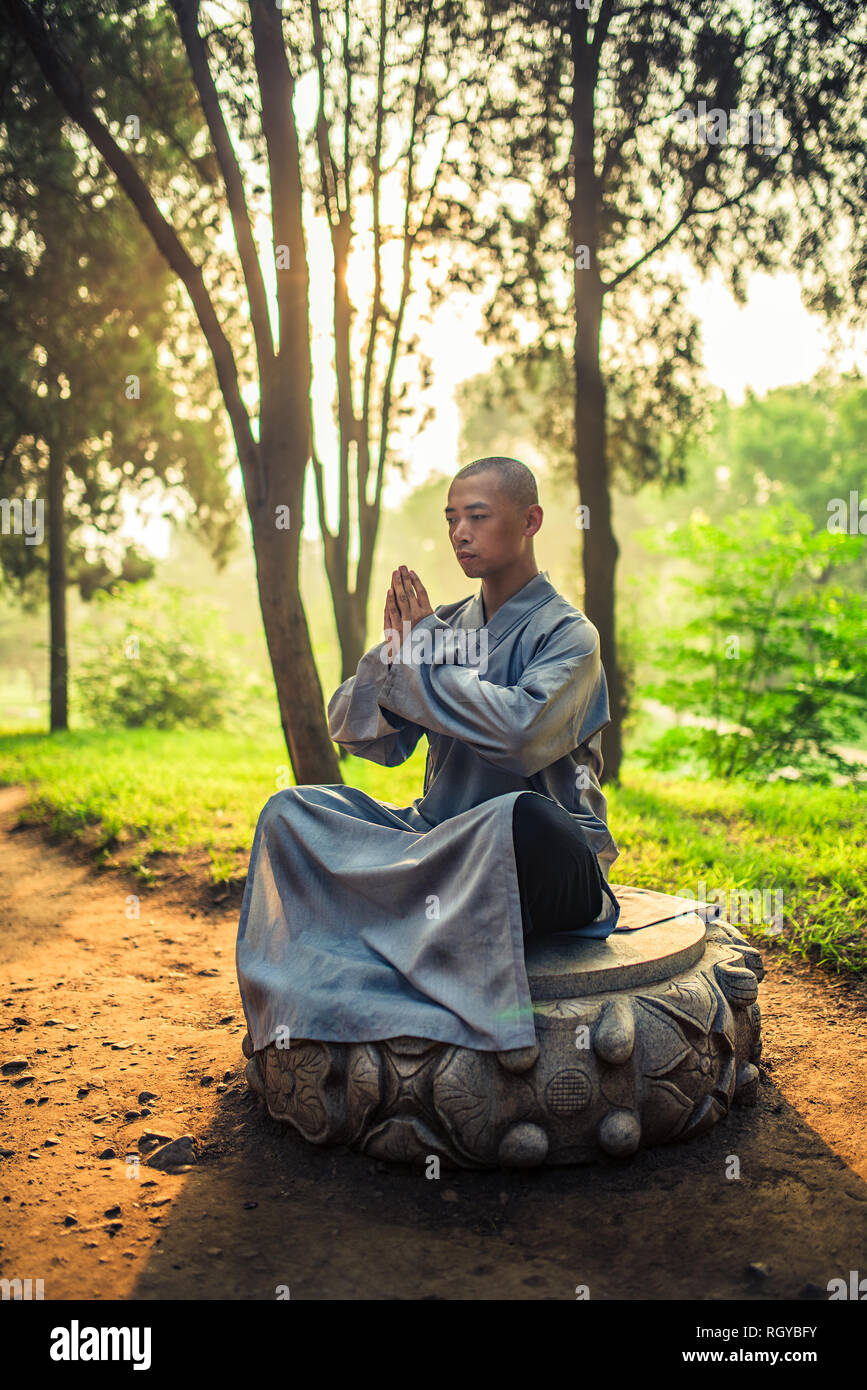 Martial artist shaolin kung fu hi-res stock photography and images - Alamy
