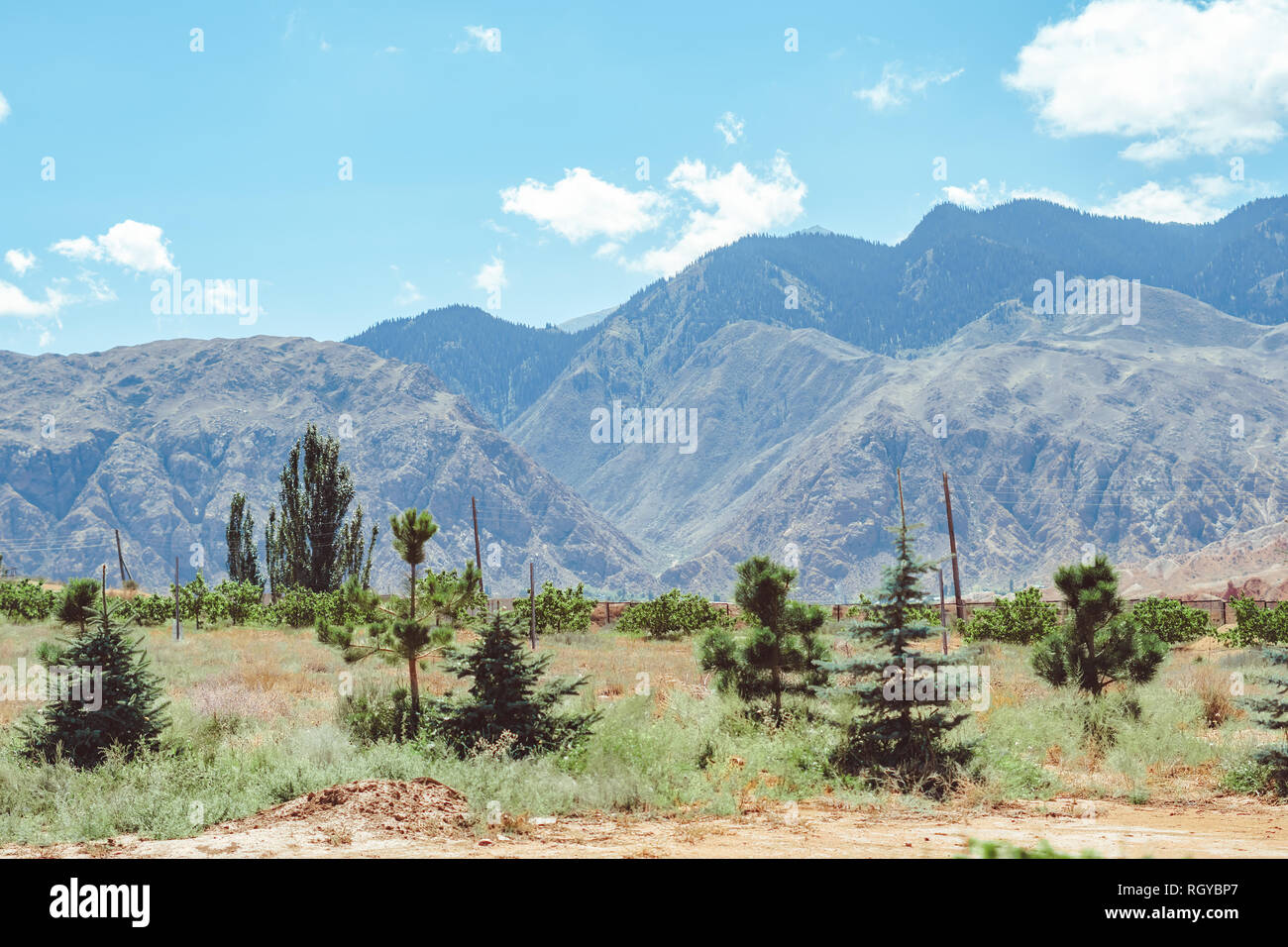 Beautiful mountain treescape hi-res stock photography and images - Alamy
