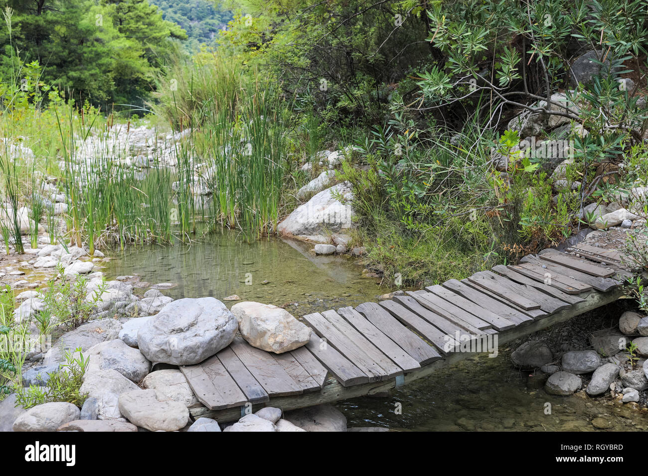 Pedestrian wooden bridge across small mountain river, flowing among ...
