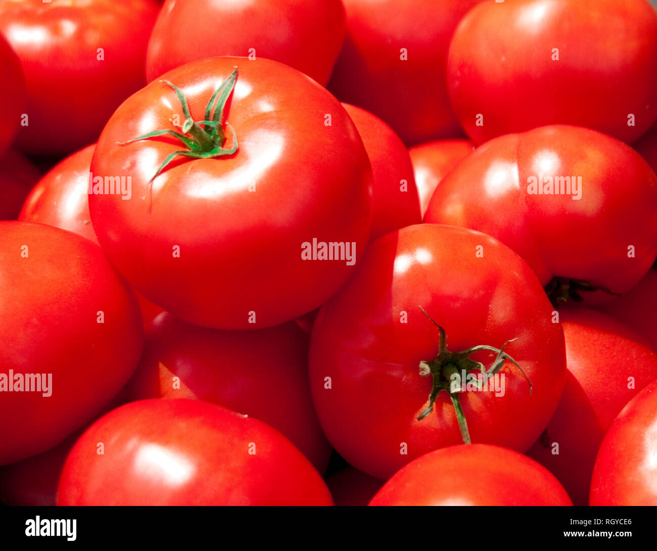 High resolution image ripe tomatoes hi-res stock photography and images ...