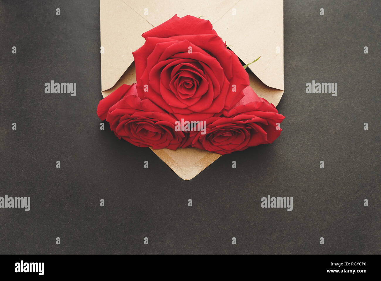 Red roses popping out of envelope in dark background. Valentine's Day ...