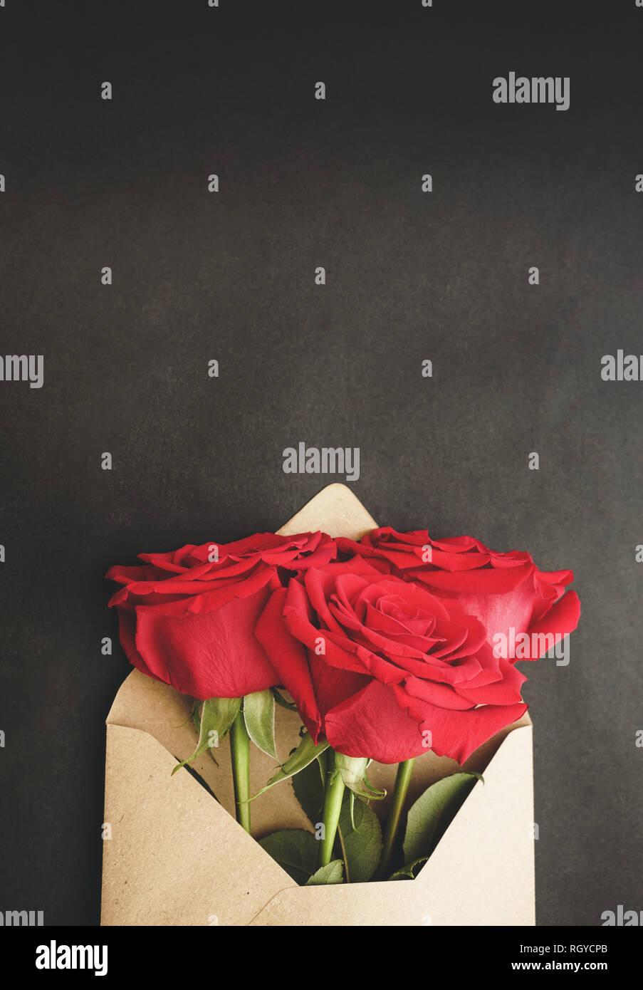 Red roses popping out of envelope in dark background. Valentine's Day ...