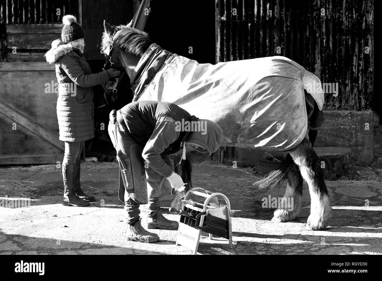 A good example of a rural occupation, a farrier at work shoding a horse ...