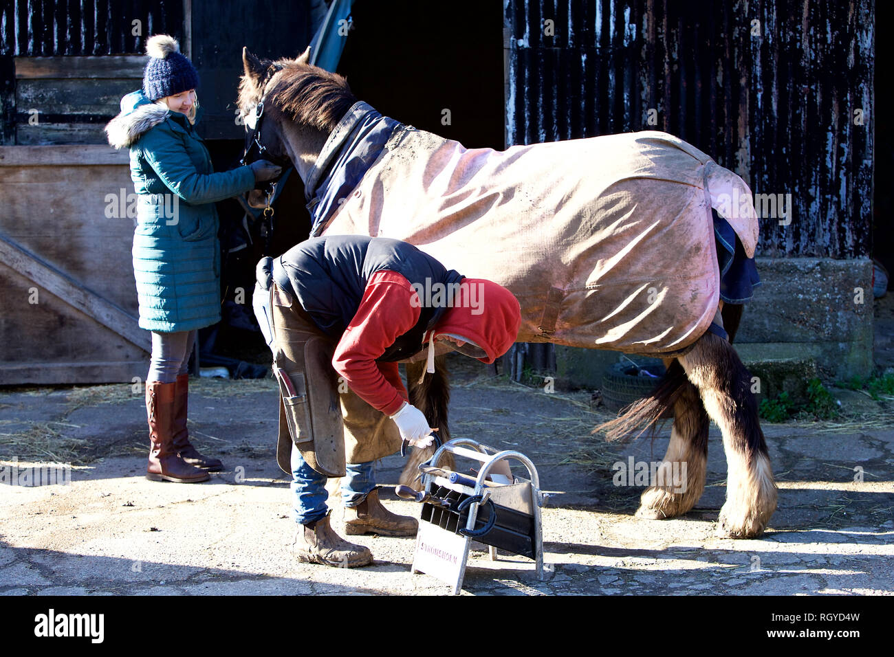 Farrier shoeing horse hi-res stock photography and images - Alamy