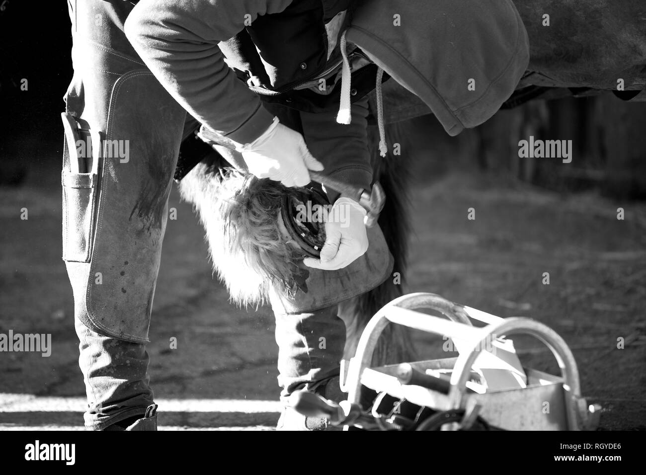 Traditional farrier Black and White Stock Photos & Images - Alamy
