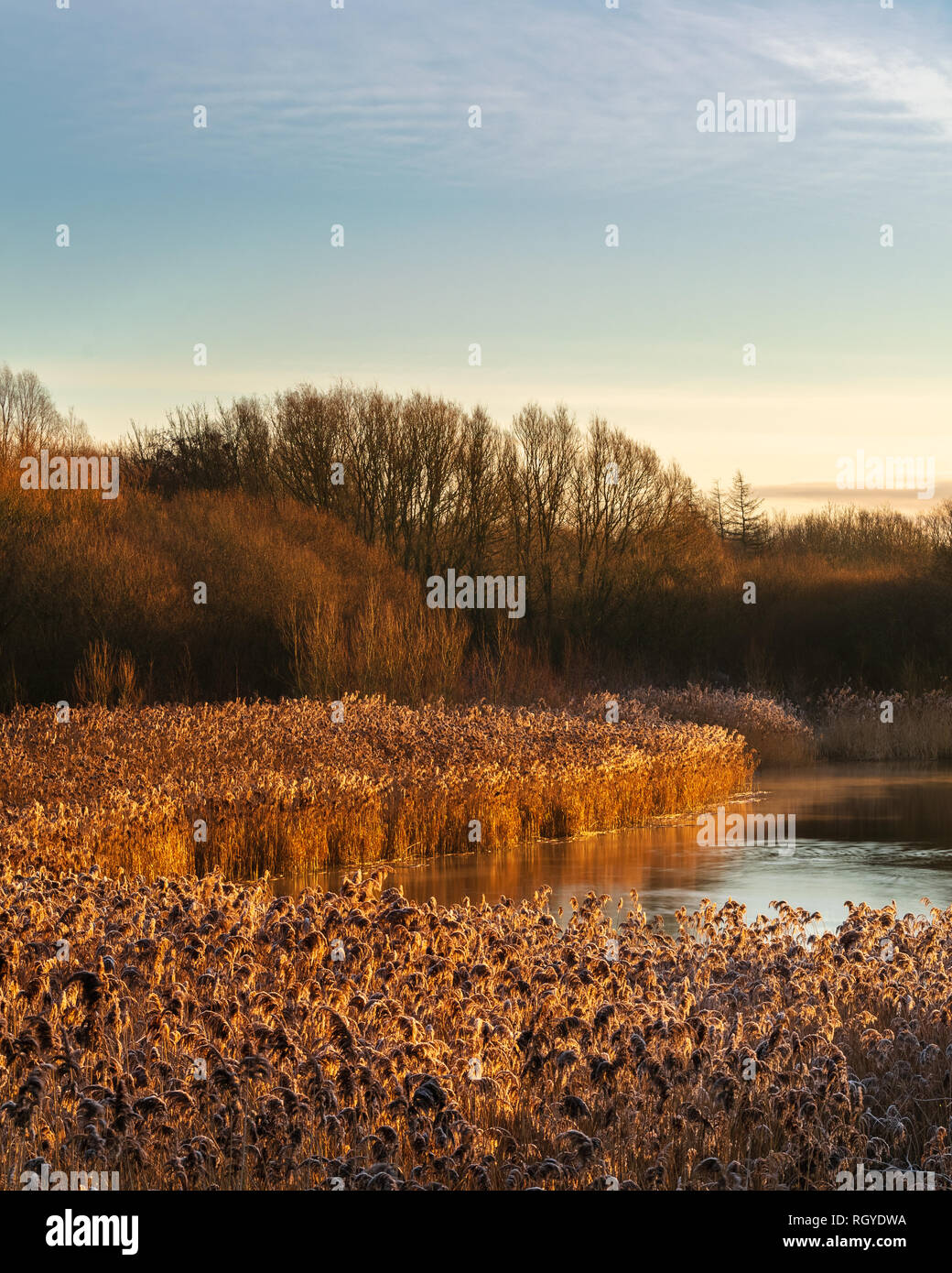 Pennington Flash Lake High Resolution Stock Photography and Images - Alamy