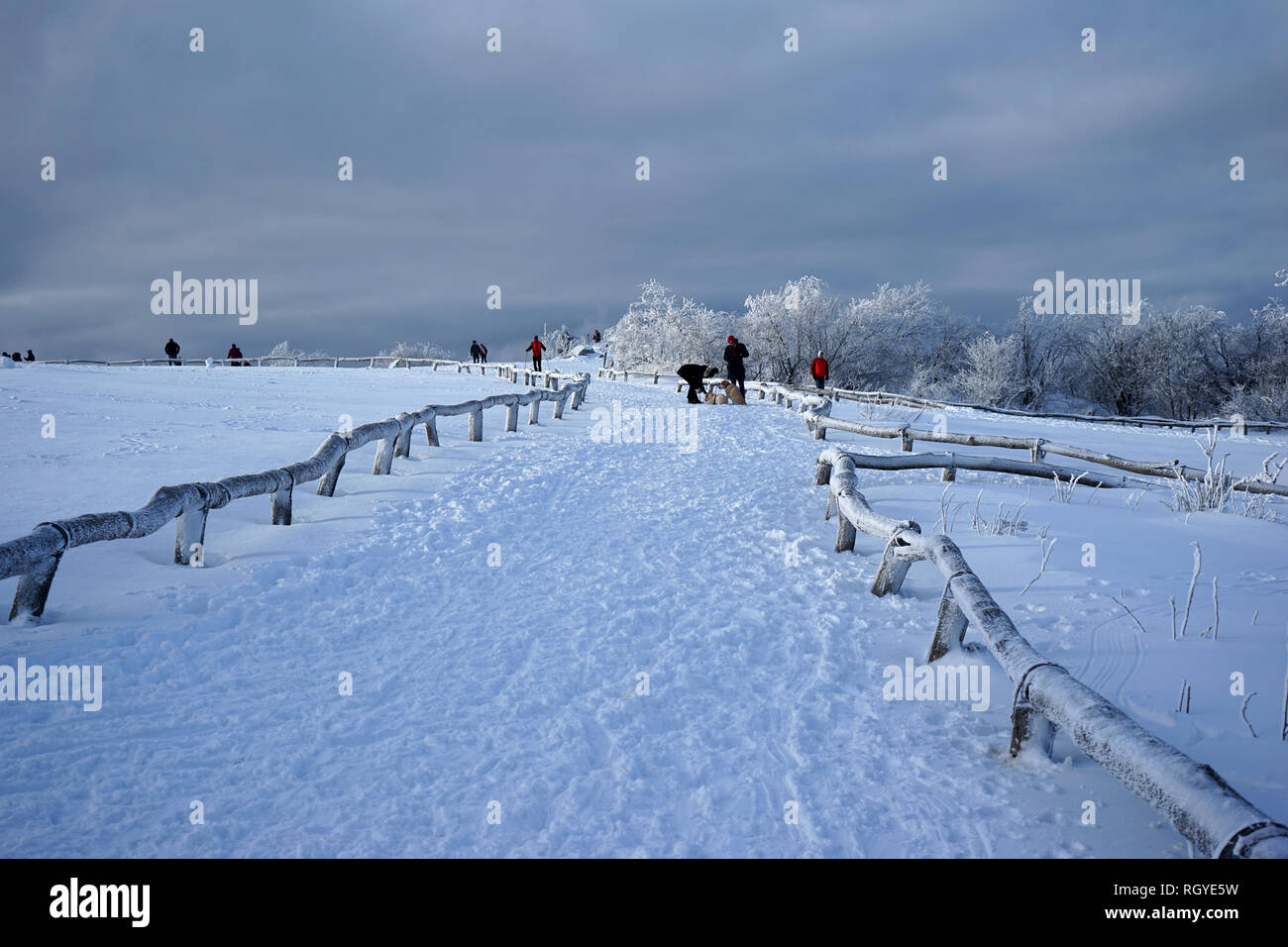 Winterlandschaft, Großer Feldberg, Hochtaunus, Taunus, Hessen ...