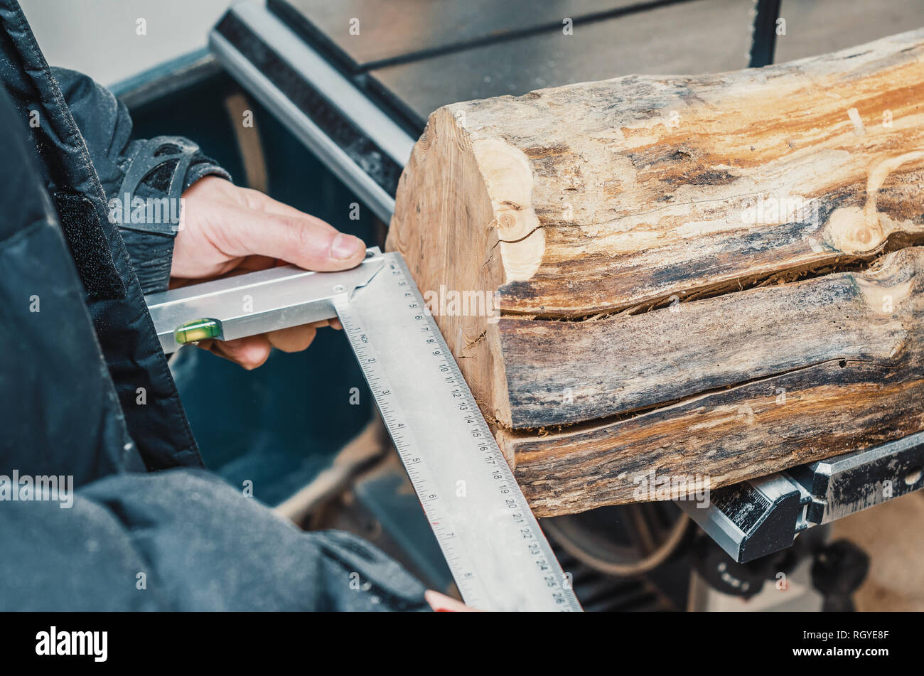 The hands of a woodworker are measuring a log with a metal ruler ...
