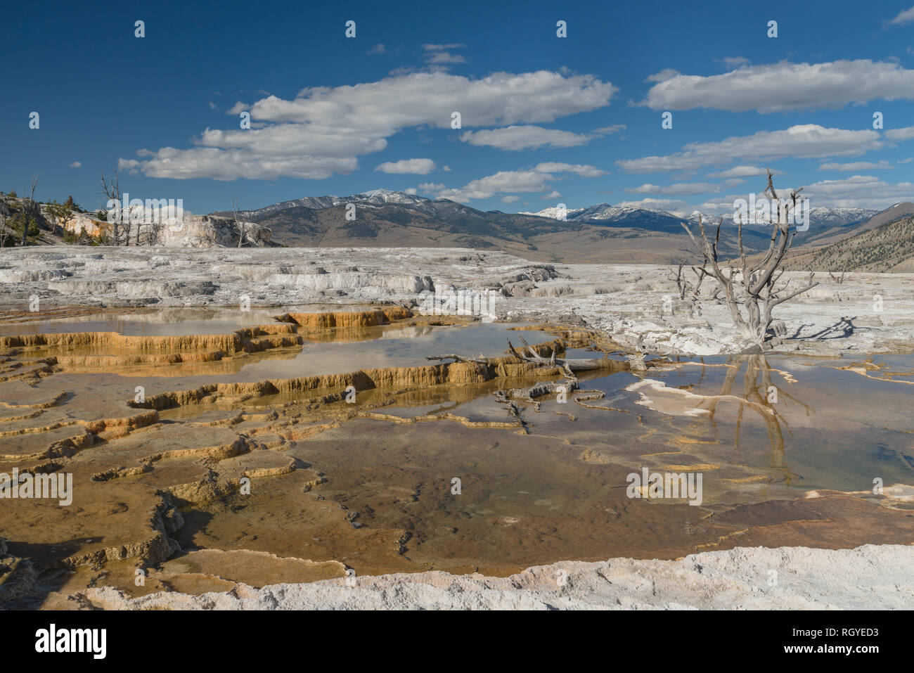Yellowstone geothermal pools hi-res stock photography and images - Alamy