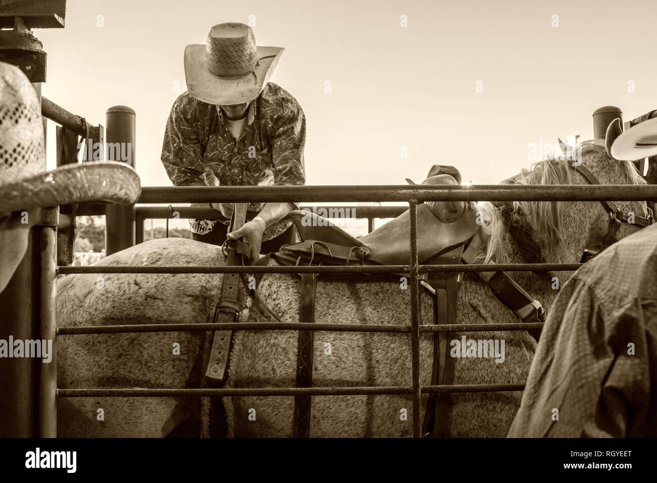 Texas rodeo cowboys Stock Photo - Alamy