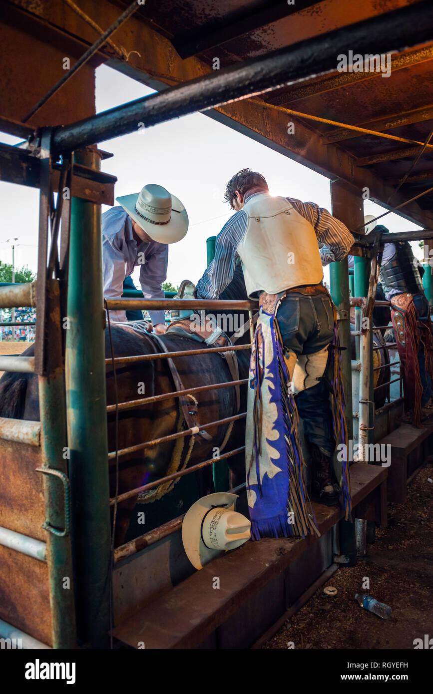 Texas rodeo cowboys Stock Photo - Alamy