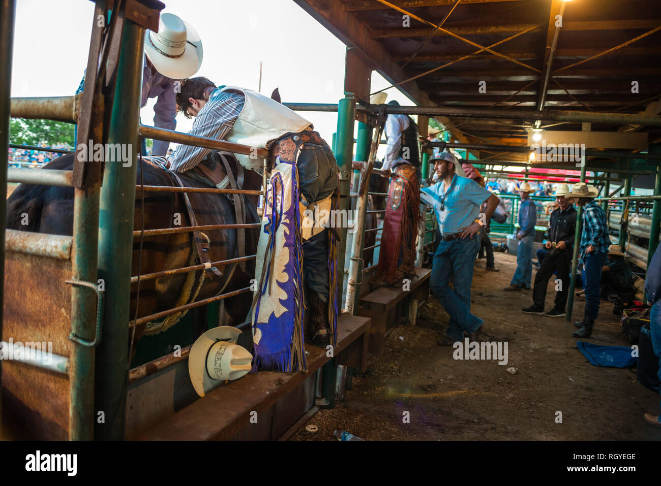 Texas rodeo cowboys Stock Photo - Alamy