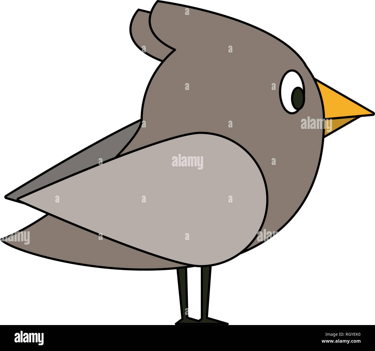 Bird cute cartoons Stock Vector Image & Art - Alamy