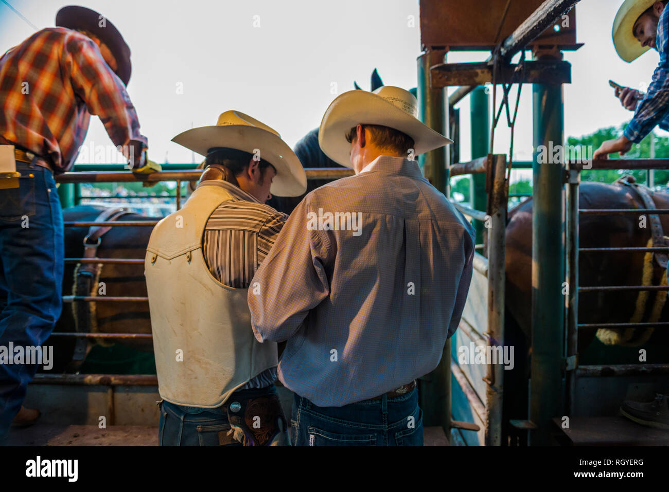 Texas rodeo cowboys Stock Photo - Alamy