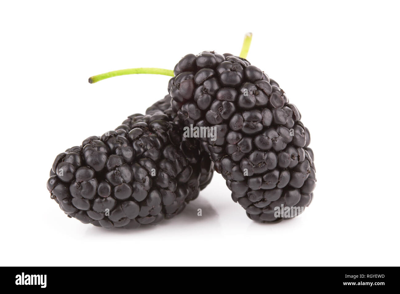 Black mulberries isolated on a white background Stock Photo - Alamy