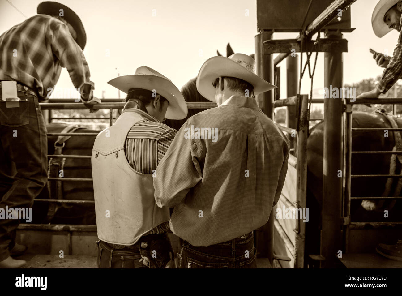 Texas rodeo cowboys Stock Photo - Alamy