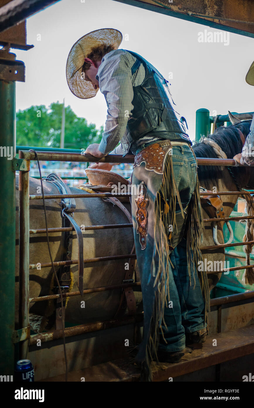 Texas rodeo cowboy Stock Photo - Alamy