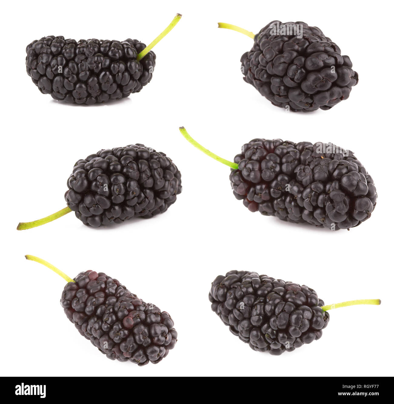Black mulberry isolated on a white background Stock Photo - Alamy