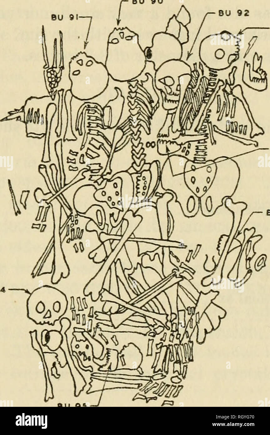 Surfaced portion hi-res stock photography and images - Alamy