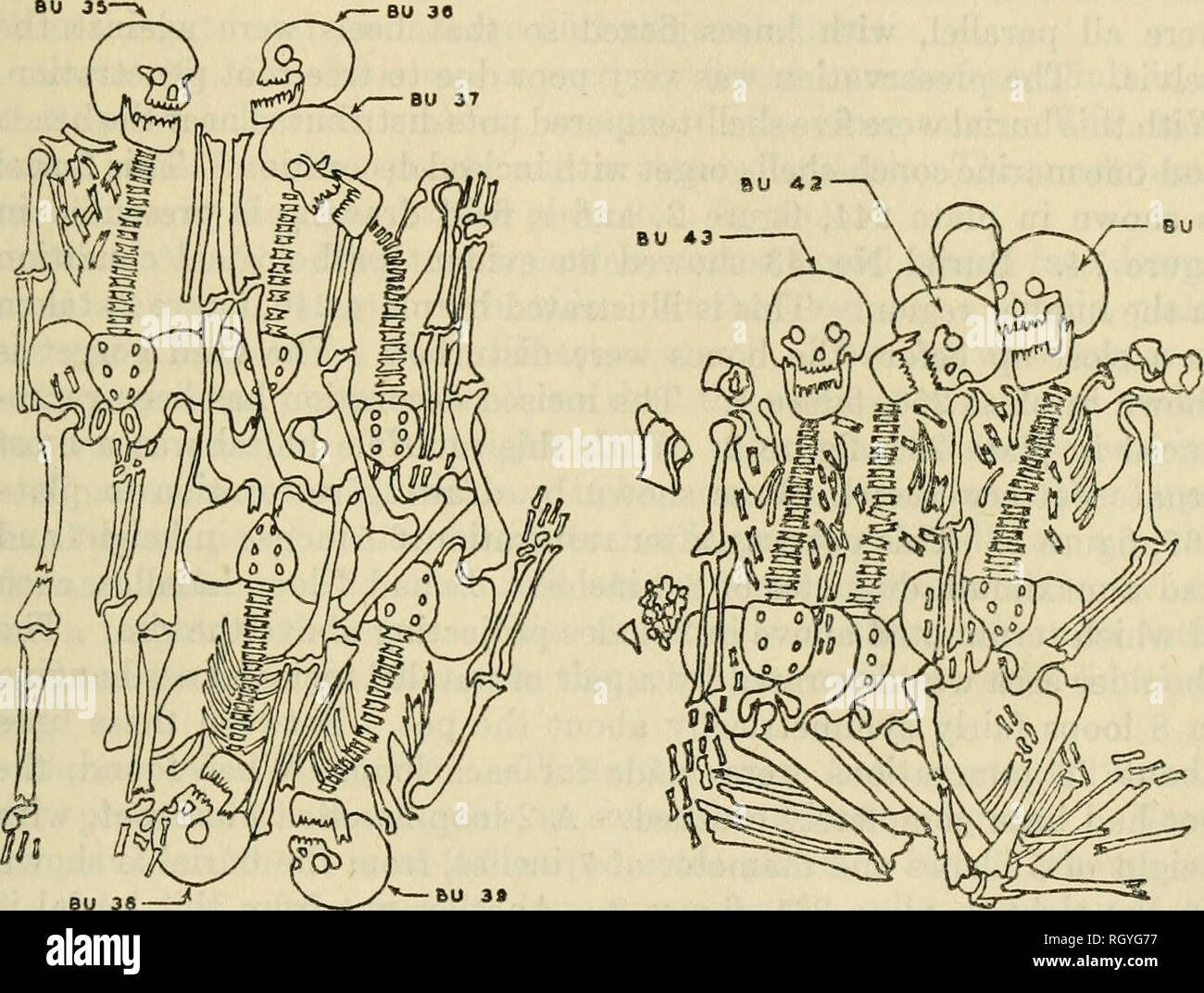 Duck grave hi-res stock photography and images - Alamy