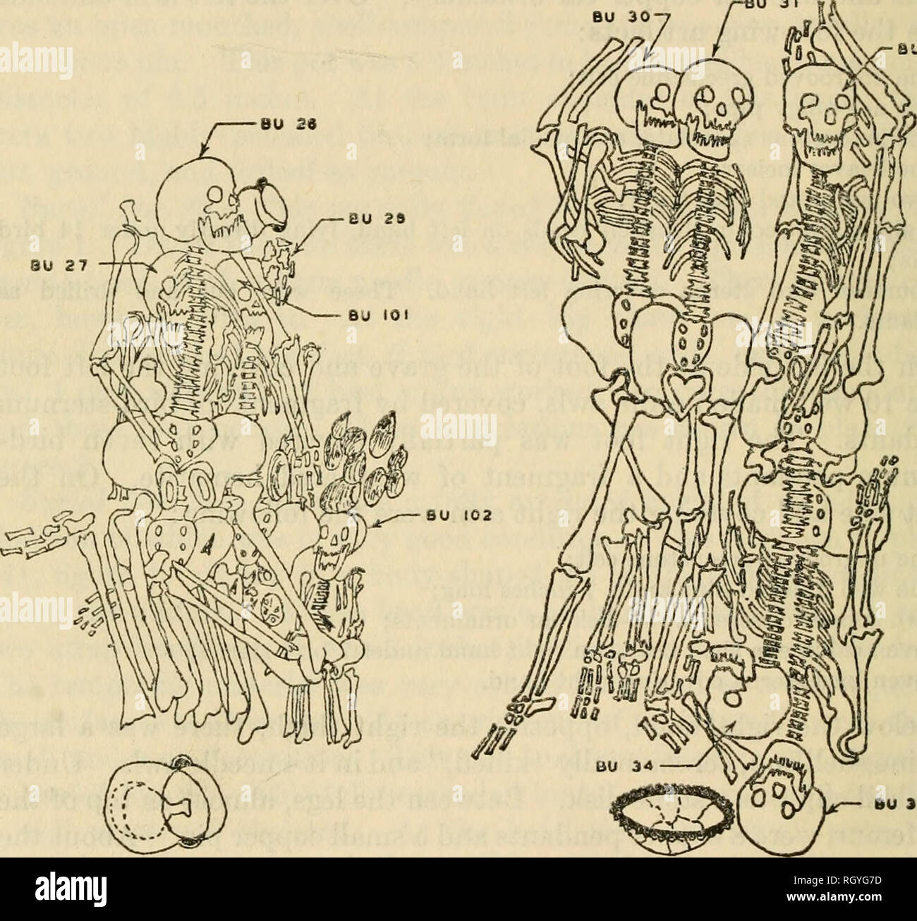 Hand 5 25 Inches High Resolution Stock Photography and Images - Alamy