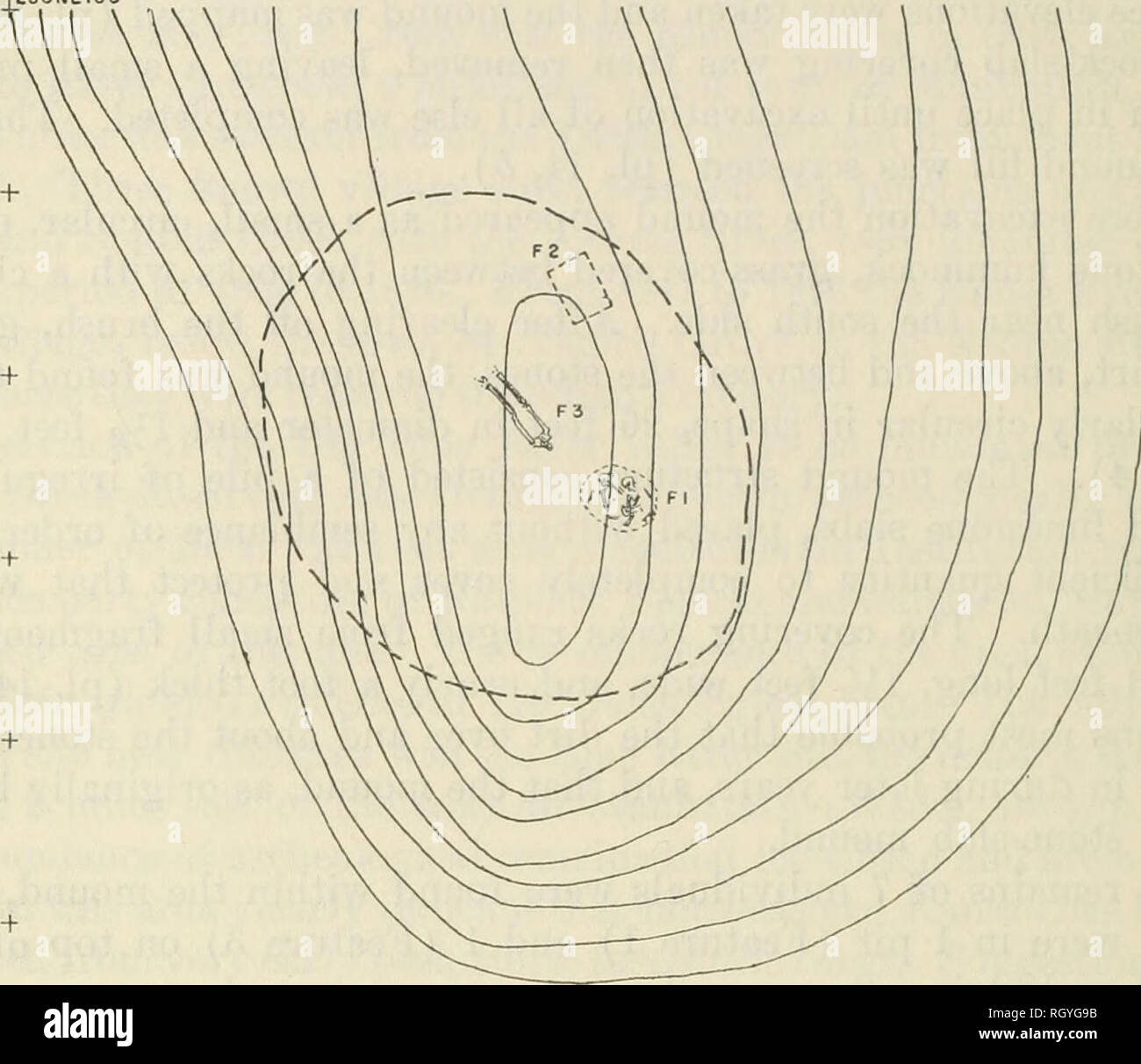 Bull facing to t hi-res stock photography and images - Alamy