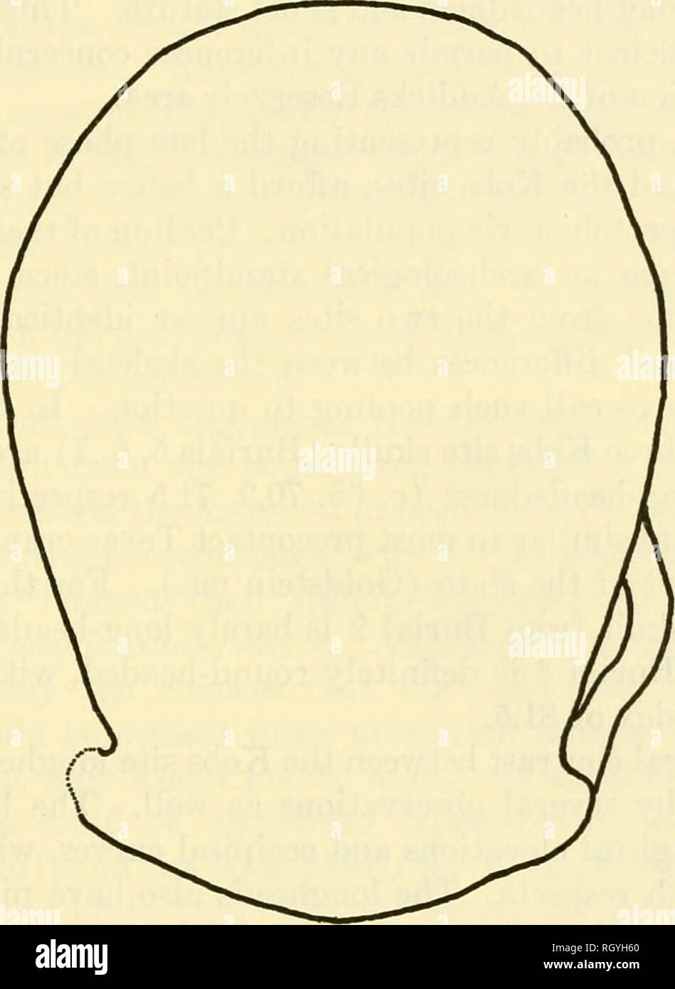 Pinched torus hi-res stock photography and images - Alamy