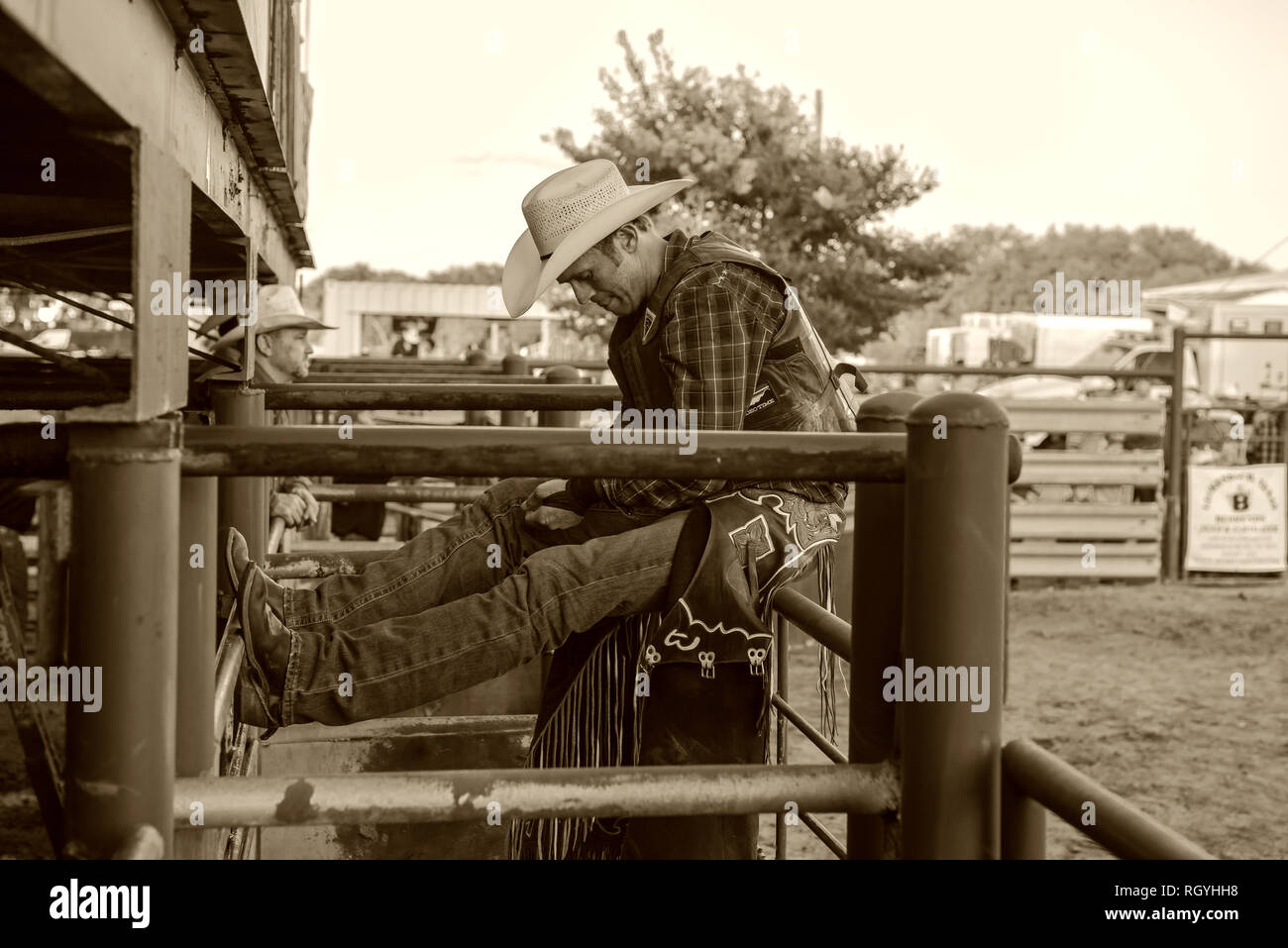Texas rodeo cowboy Stock Photo - Alamy
