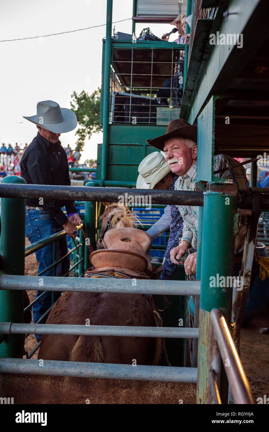 Texas rodeo cowboys Stock Photo - Alamy