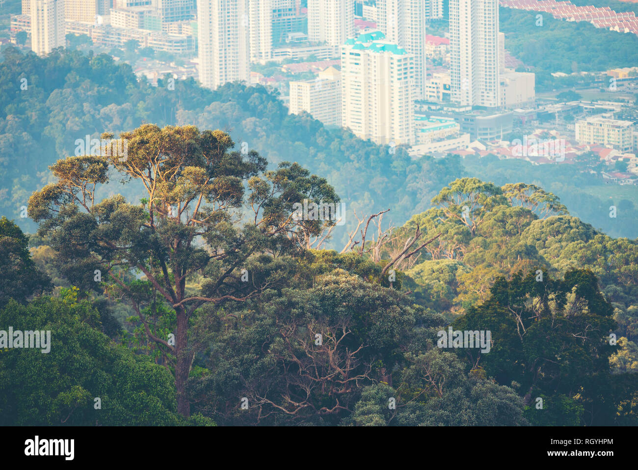 Penang cityscape, view from Penang hills Stock Photo - Alamy