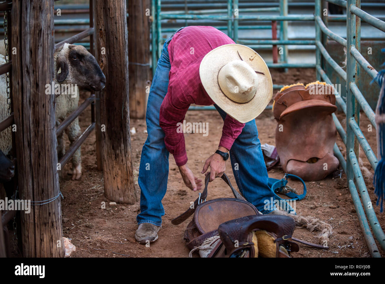 Texas rodeo cowboy Stock Photo - Alamy