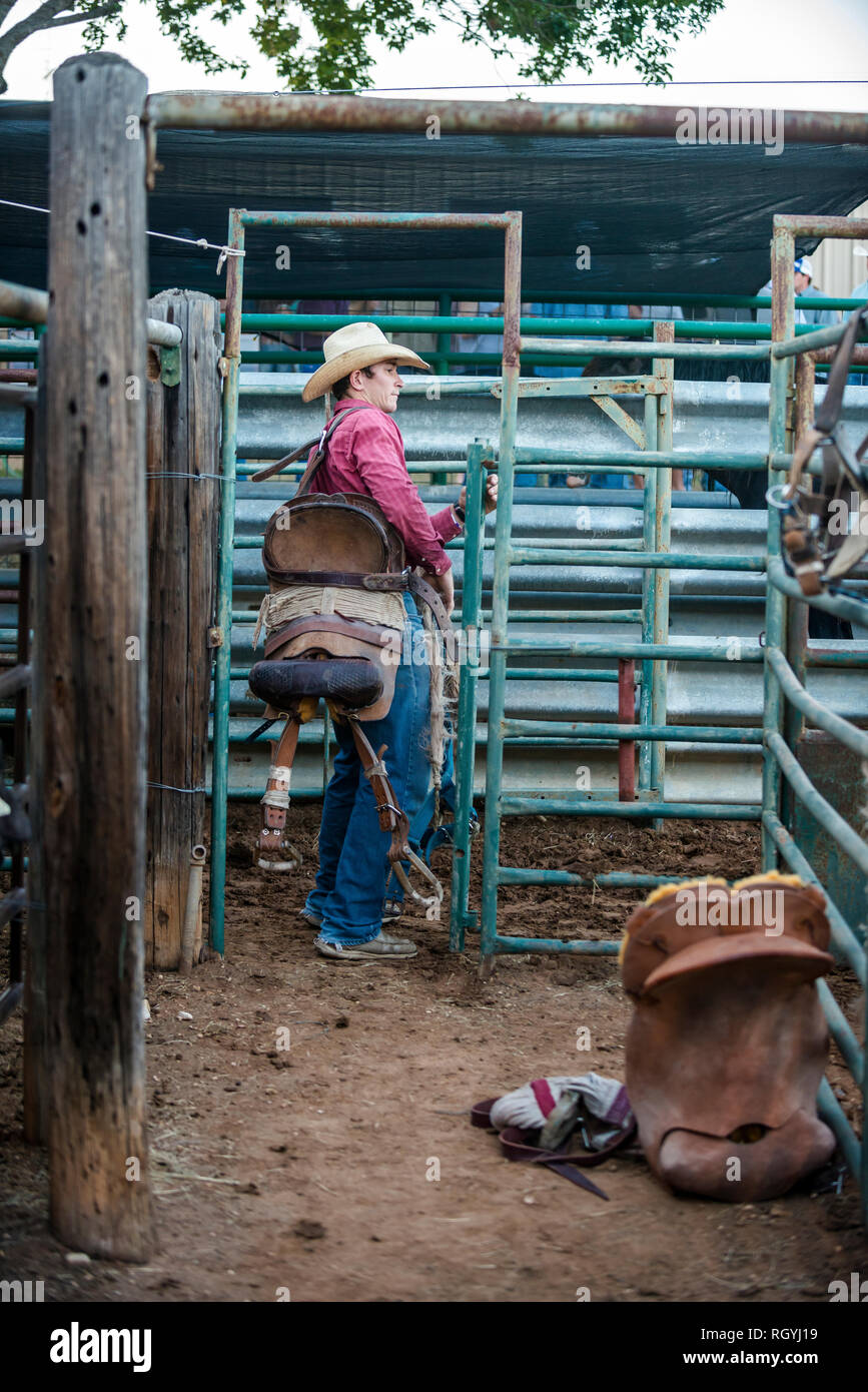 Texas rodeo cowboy Stock Photo - Alamy