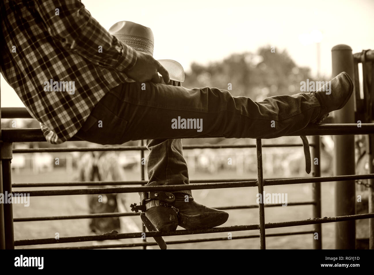 Texas rodeo cowboy Stock Photo - Alamy