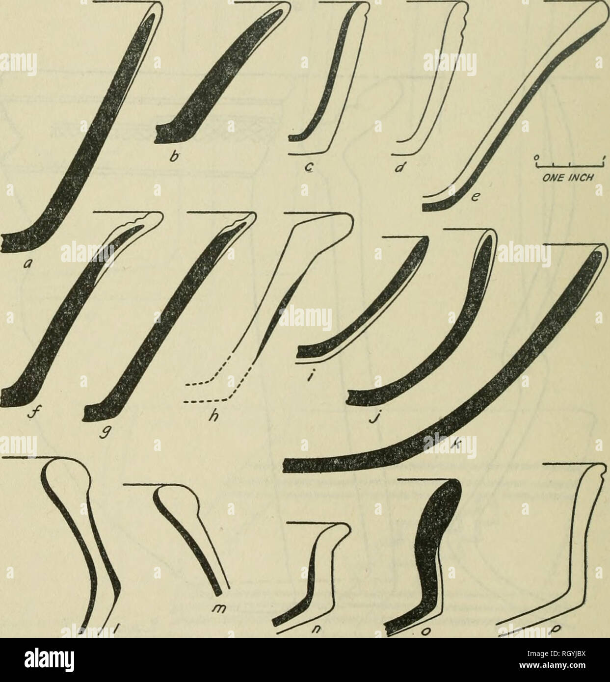 Mottled white areas hi-res stock photography and images - Alamy