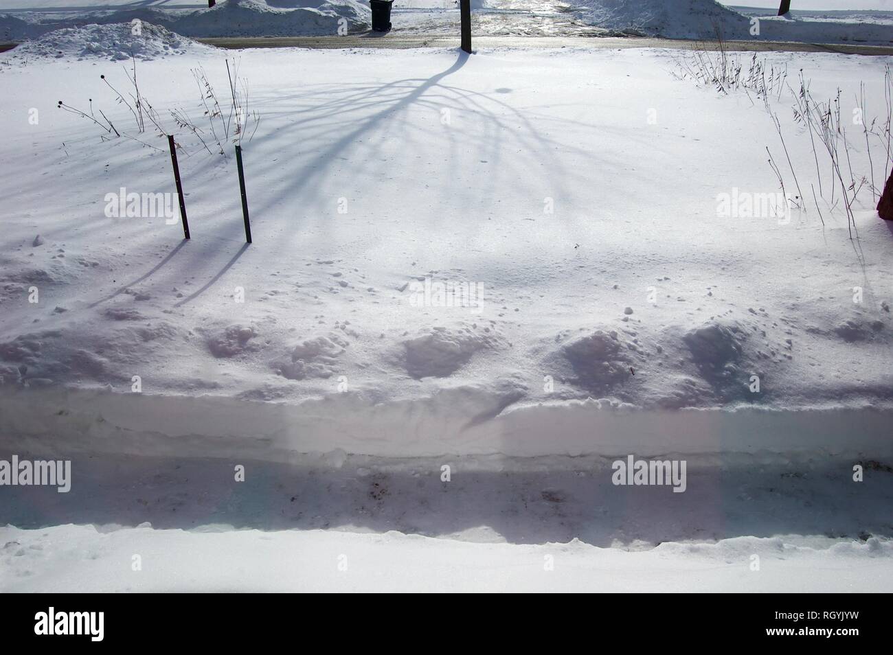 Snow Covered Yard with Shoveled Path for Delivery People after a ...