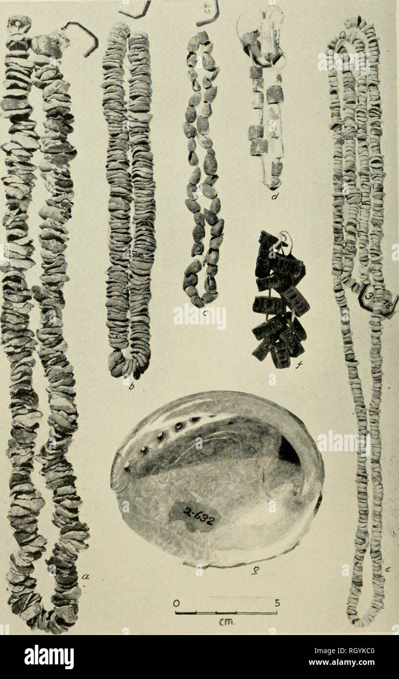 Fish vertebrae hi-res stock photography and images - Alamy