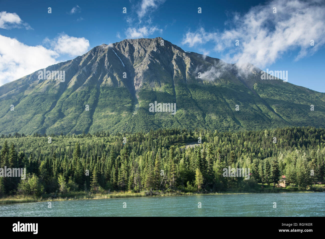 Kenai river hi-res stock photography and images - Alamy