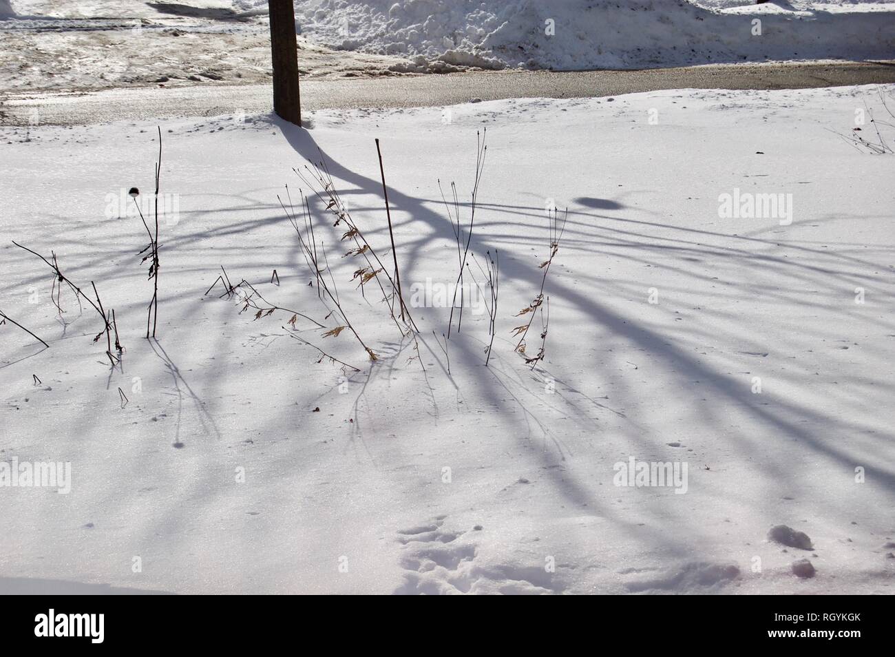 Chicago snow storm hi-res stock photography and images - Alamy