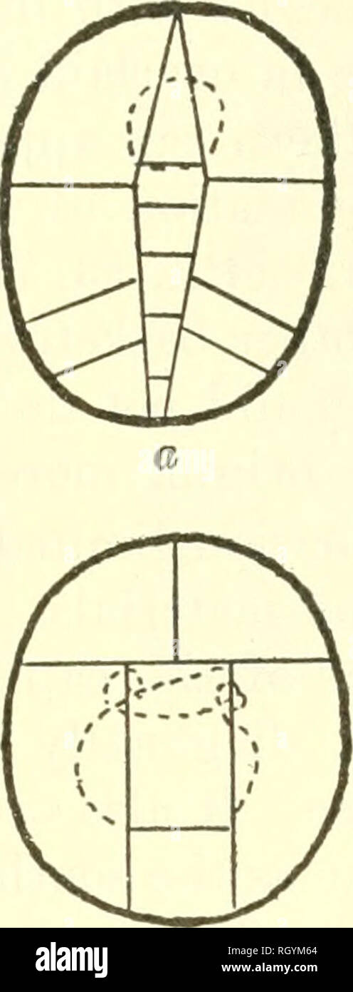 Stitch plan together hi-res stock photography and images - Alamy