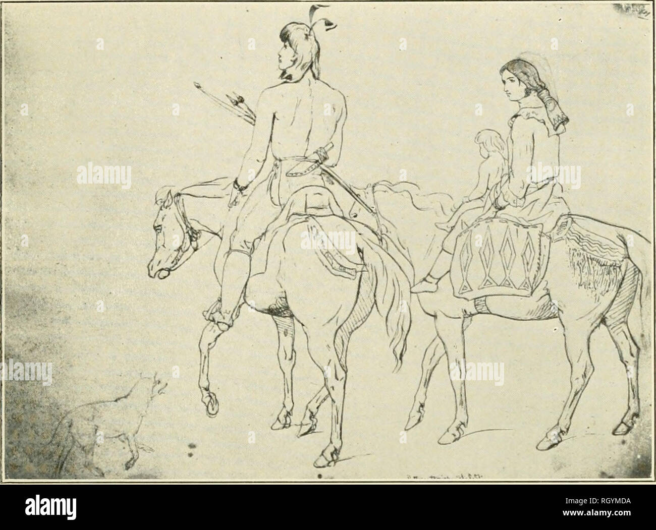 Bollom High Resolution Stock Photography and Images - Alamy