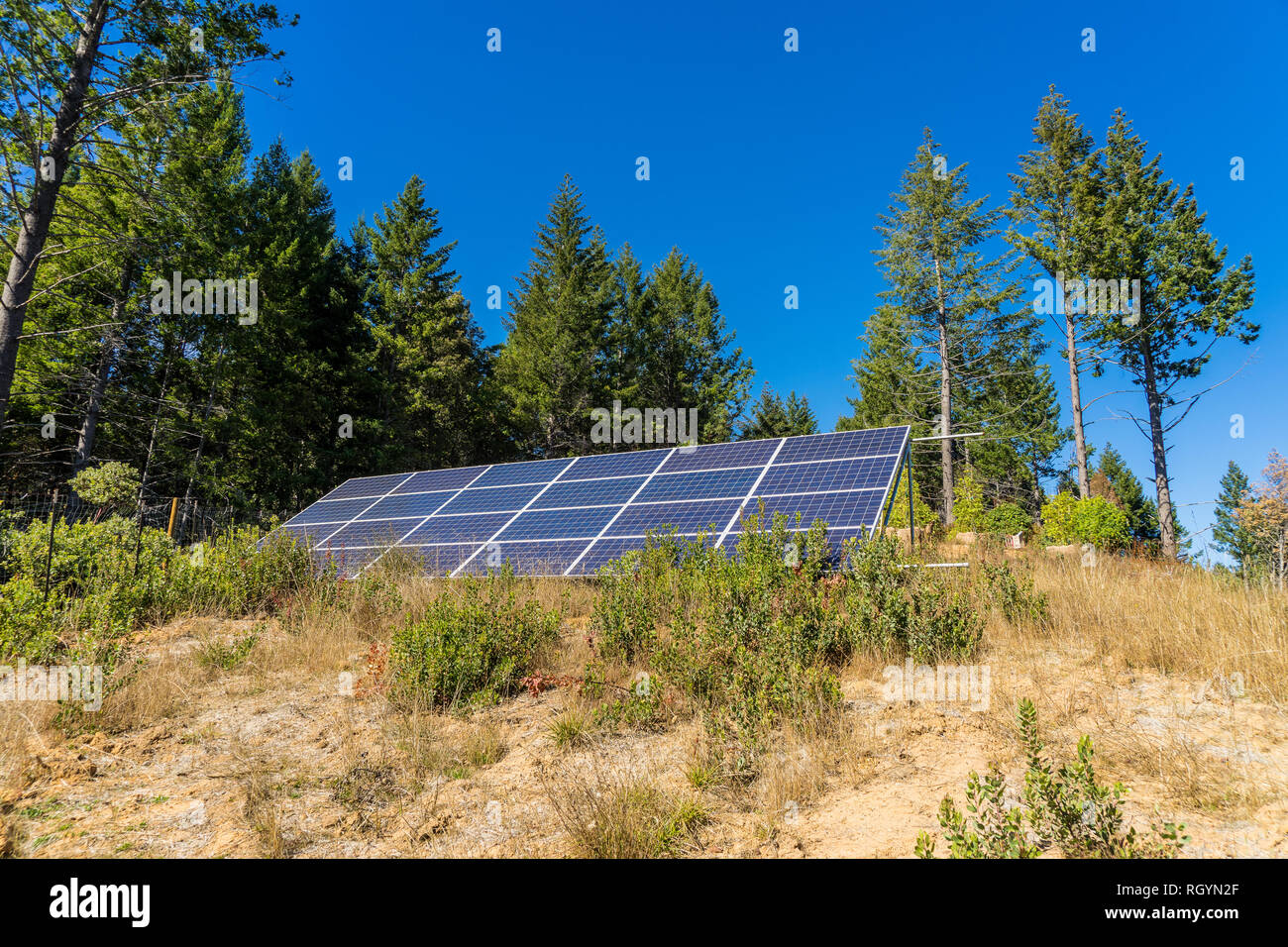 Solar panels to generate electricity suroounded by trees. Wide ...